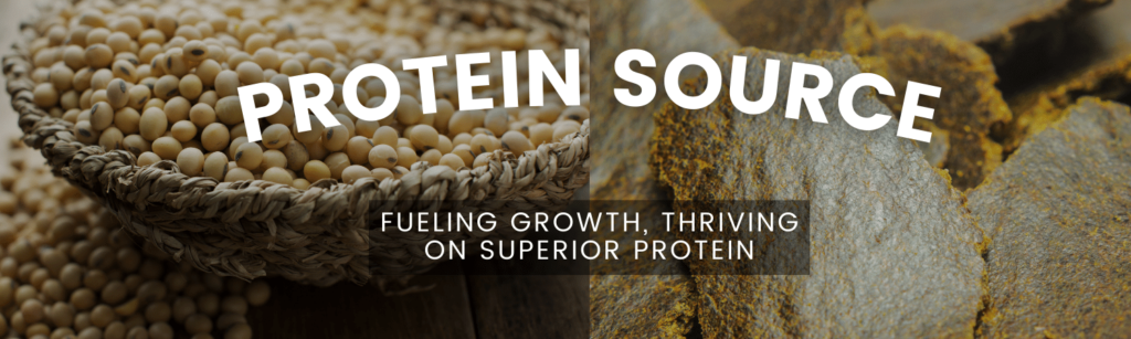 Protein Sources for Cattle Feed- Cottonseed,Soyabean,Mustard